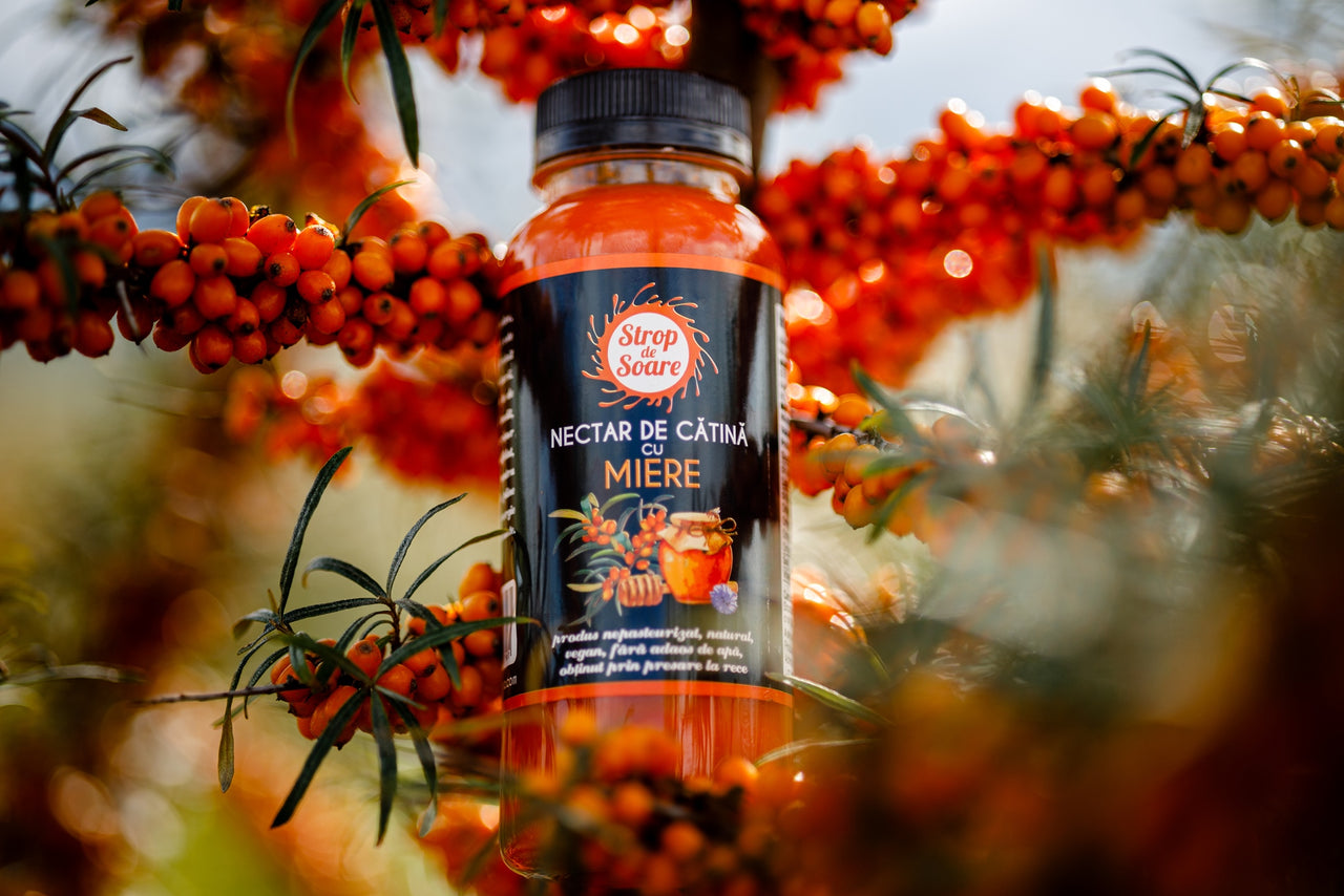 Nectar de Catina, Suc de Catina – Nectarcatina.com – NectarCatina